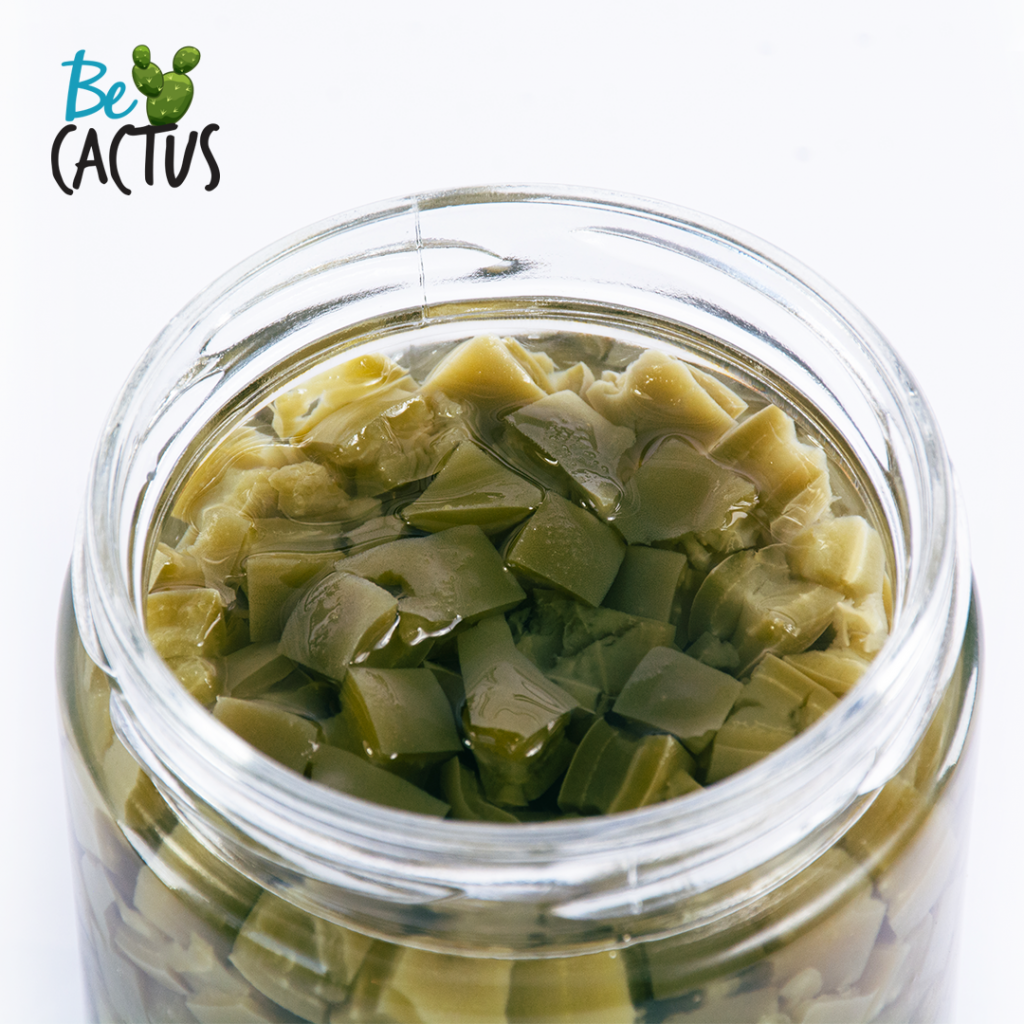 Pickled Cactus 🌵 – BeCactus, Be Healthy
